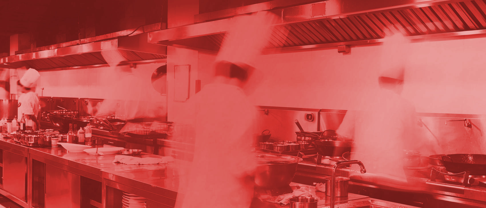 Ansul R-102 Kitchen Suppression Systems